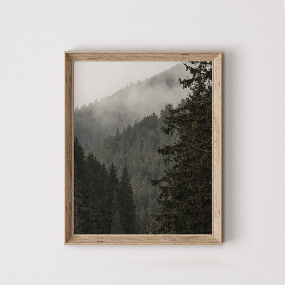 Fog Covered Evergreen Forest, Pine Tree Forest Poster, Wilderness Wall ...