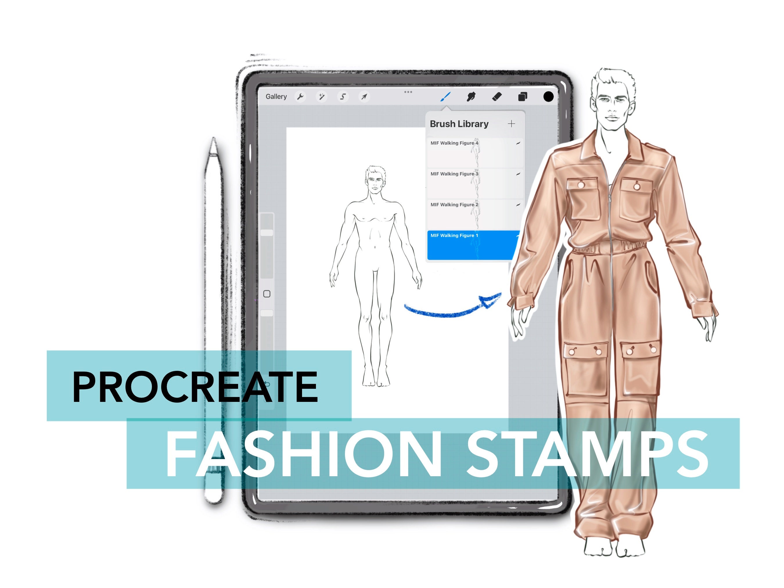 Procreate Male Body Stamps: How to Draw Procreate Fashion | Men Anatomy ...