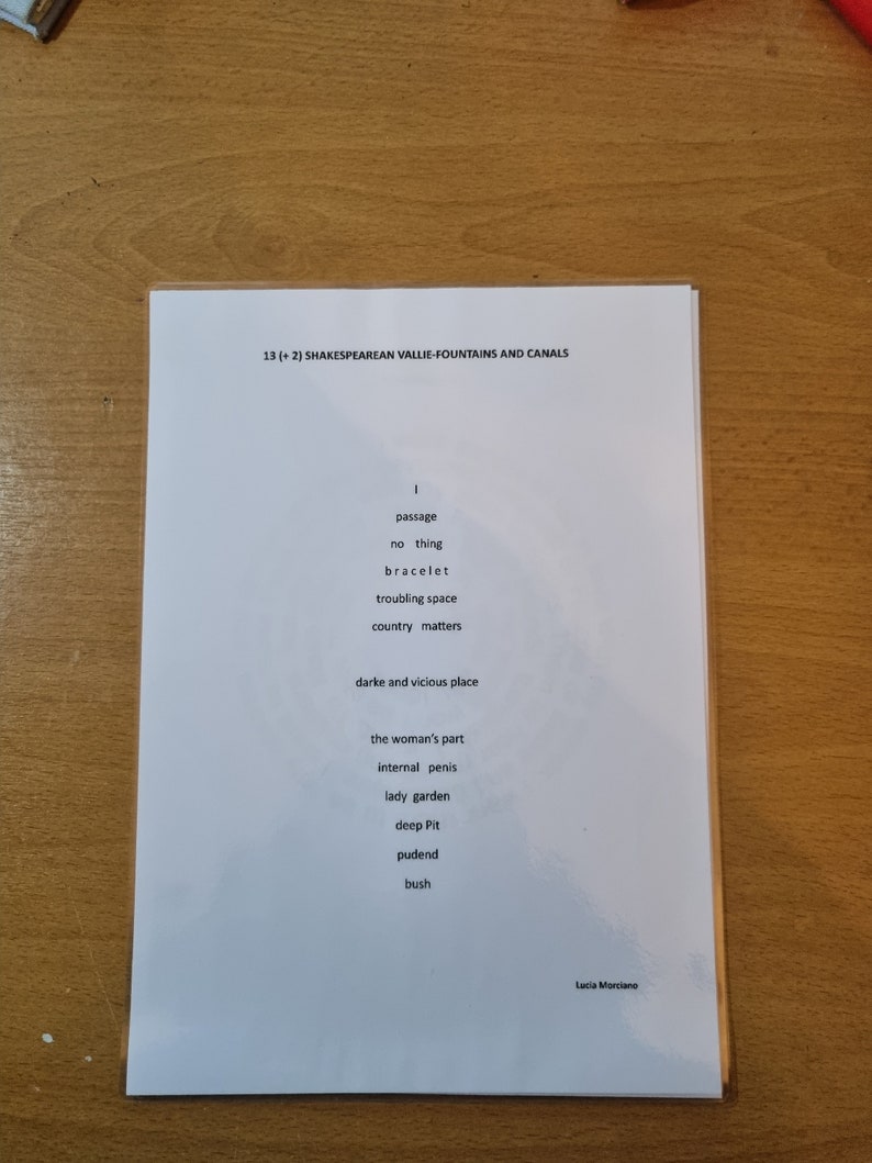 Single A4 Poems Concrete Poetry - Etsy