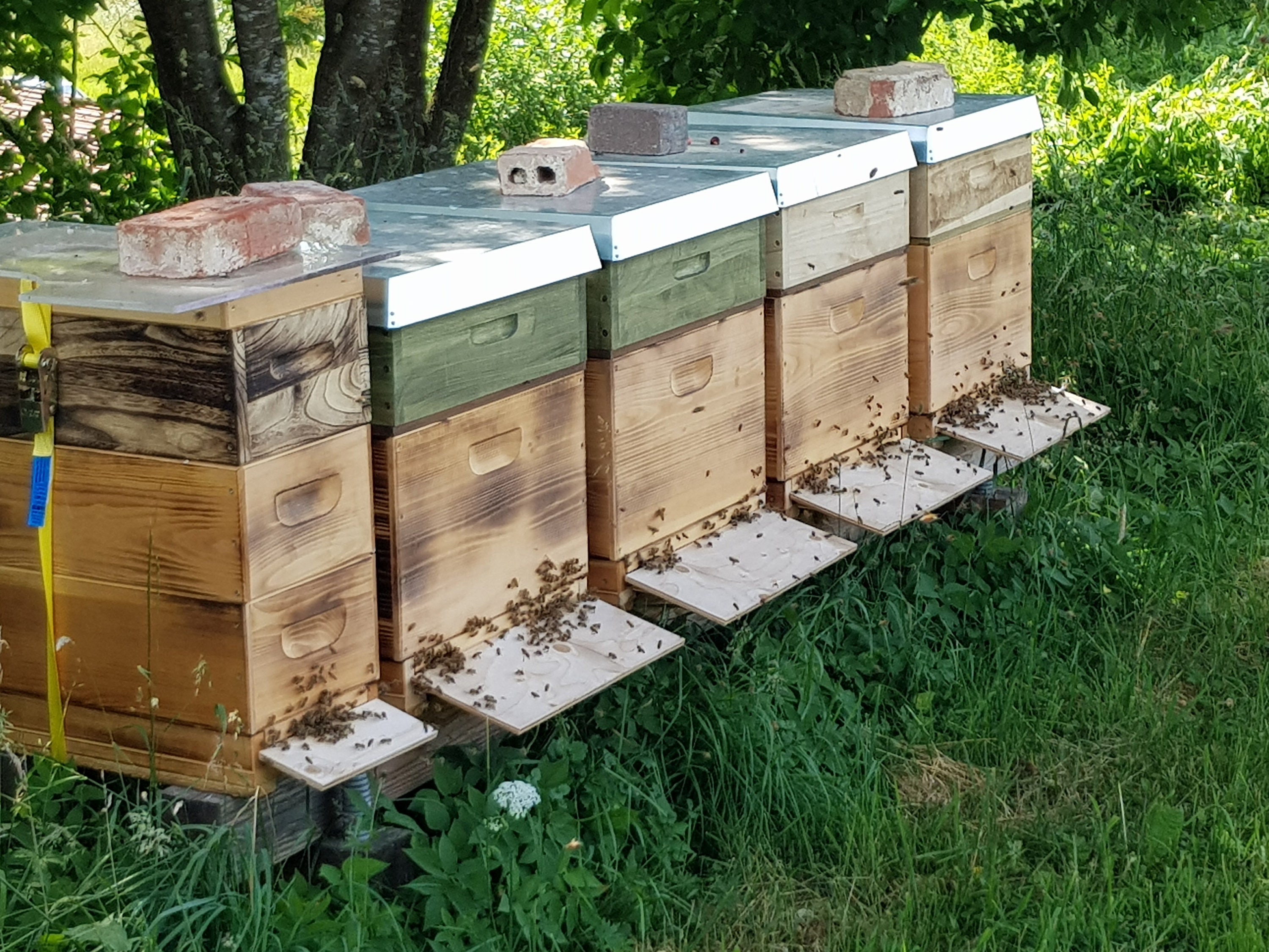 Lantern, Wax Bowl, Beeswax Bowl D 75 Mm H 55 Mm 100% Beeswax From Our Own BIOLAND Beekeeping - Etsy
