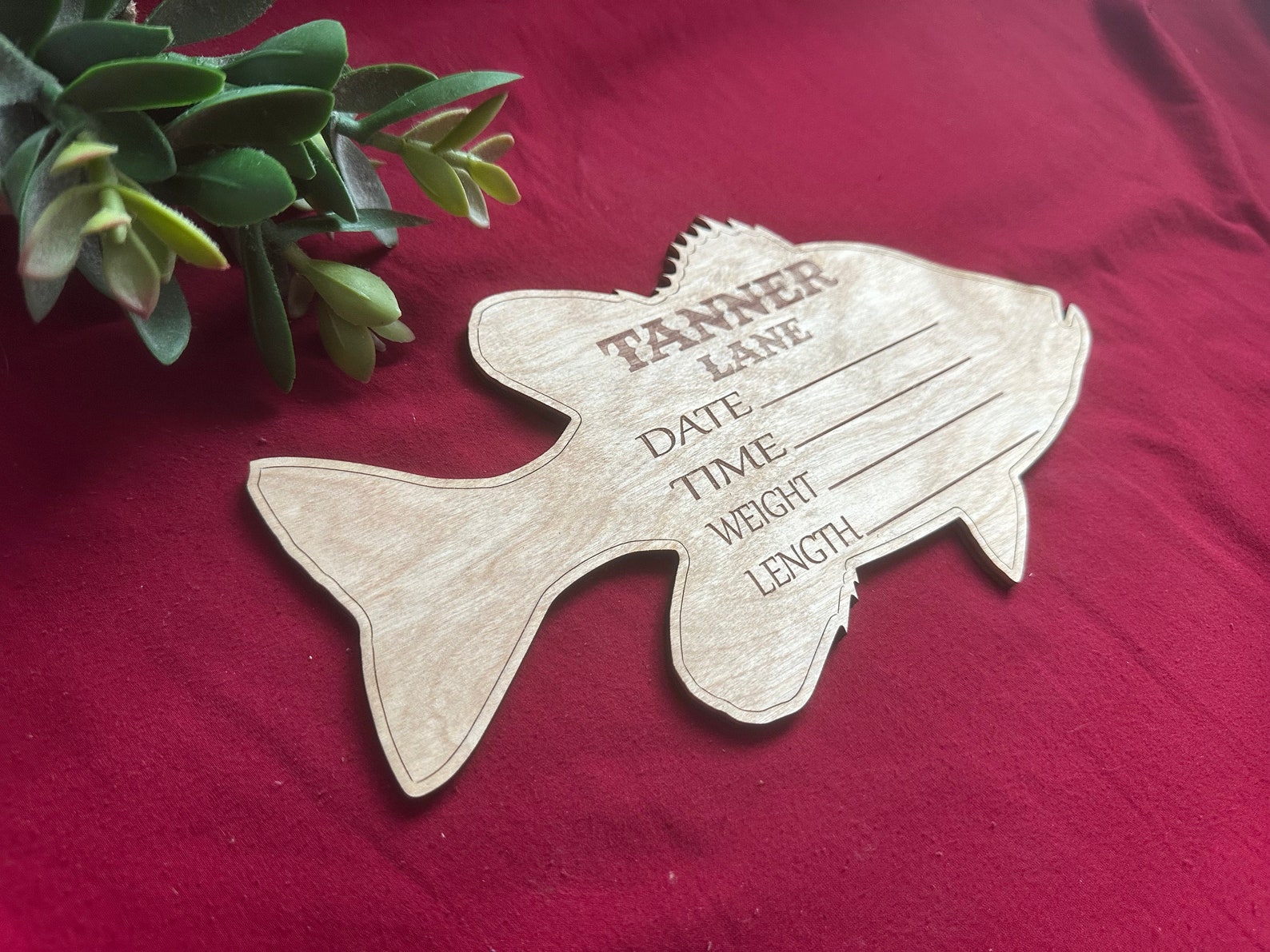 Baby Monthly Milestone Marker Fish Bass Milestone Set Baby Shower Gift ...