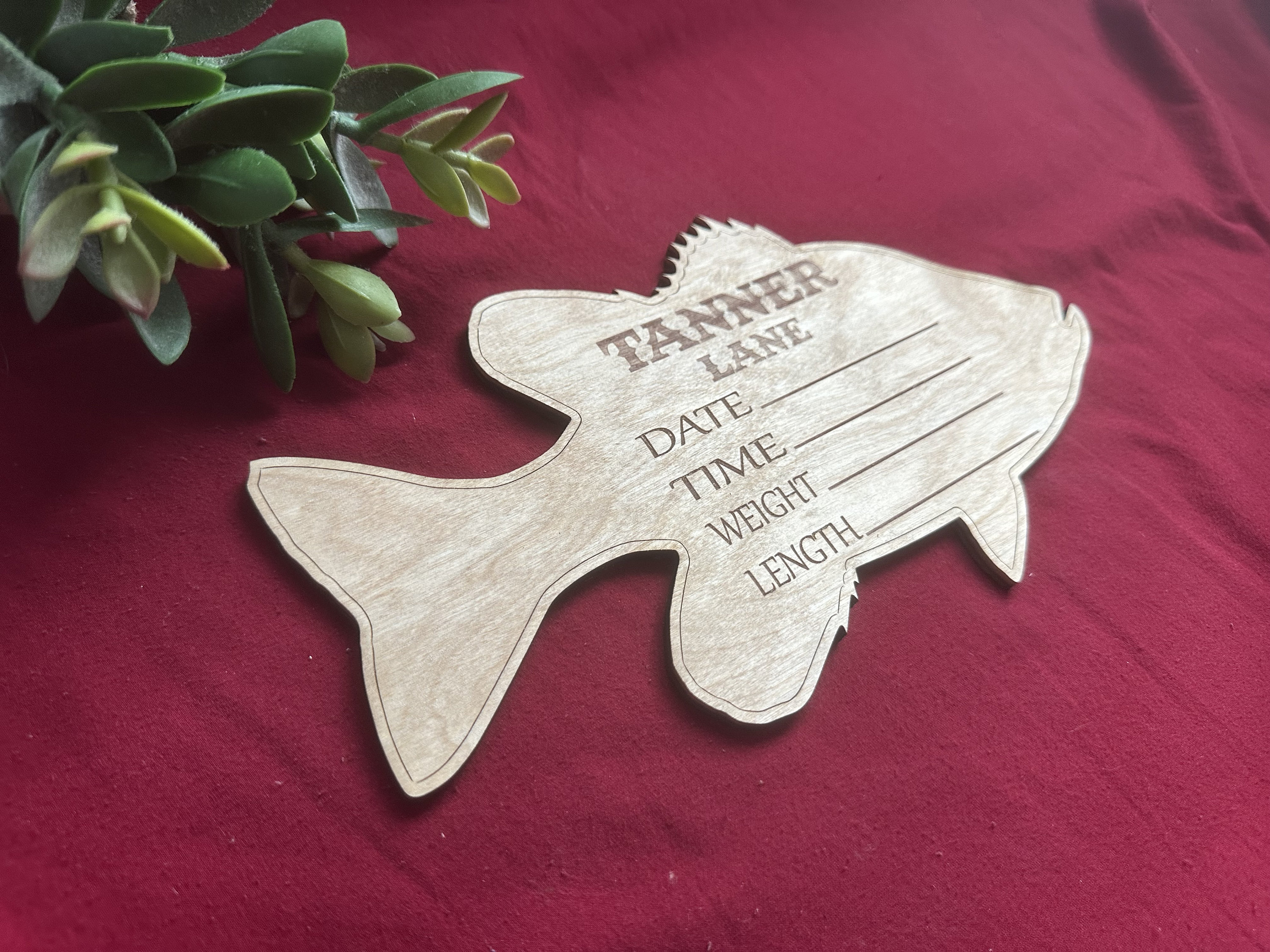 Baby Monthly Milestone Marker Fish Bass Milestone Set Baby Shower Gift ...