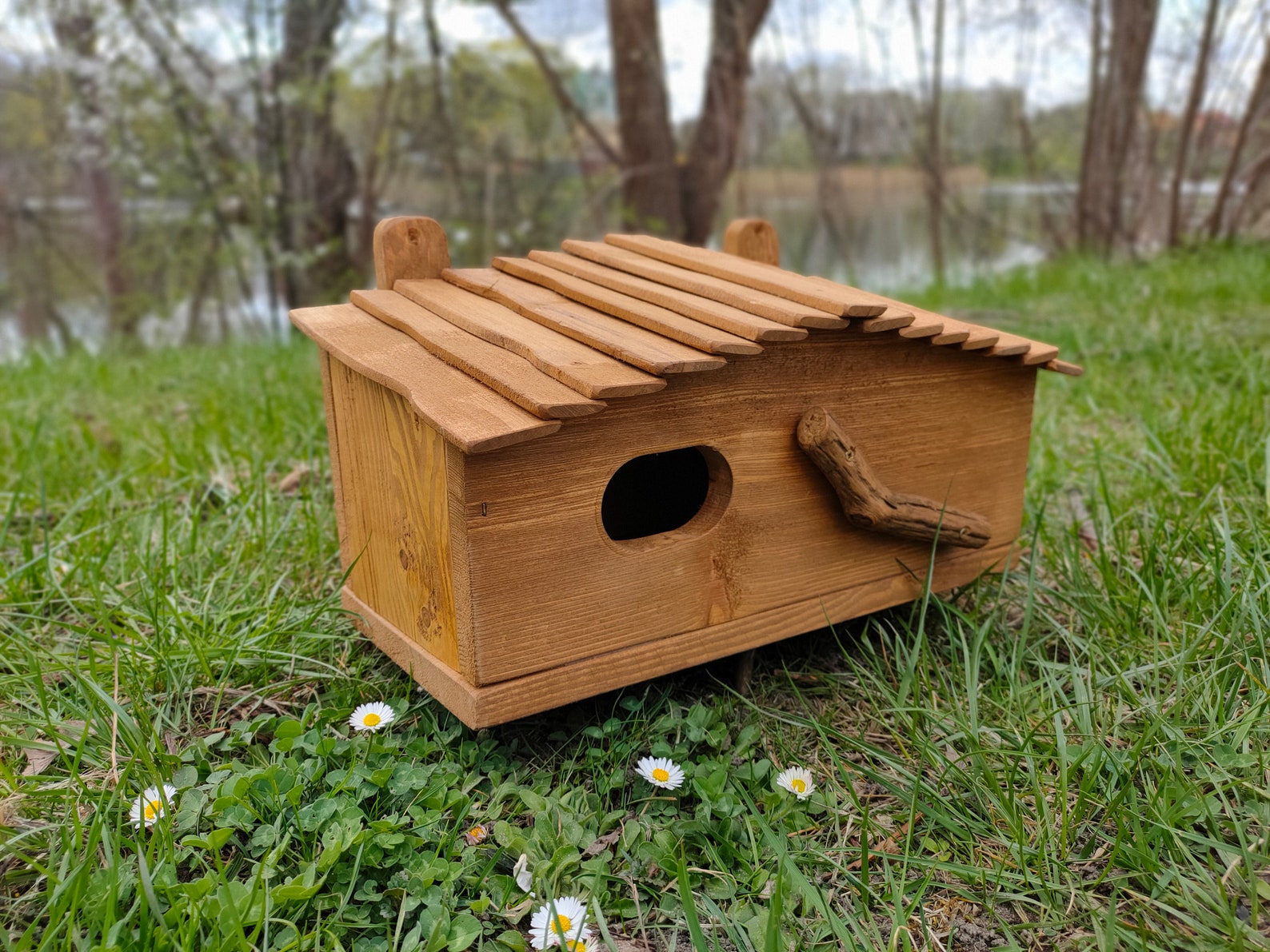 SWIFT BIRDS Nesting Box, Nest-box House for Swift Bird Family Nests ...