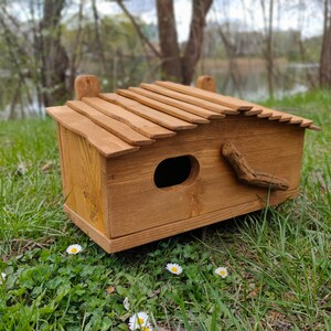SWIFT BIRDS Nesting Box, Nest-box House for Swift Bird Family Nests ...
