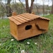 SWIFT BIRDS Nesting Box, Nest-box House for Swift Bird Family Nests ...