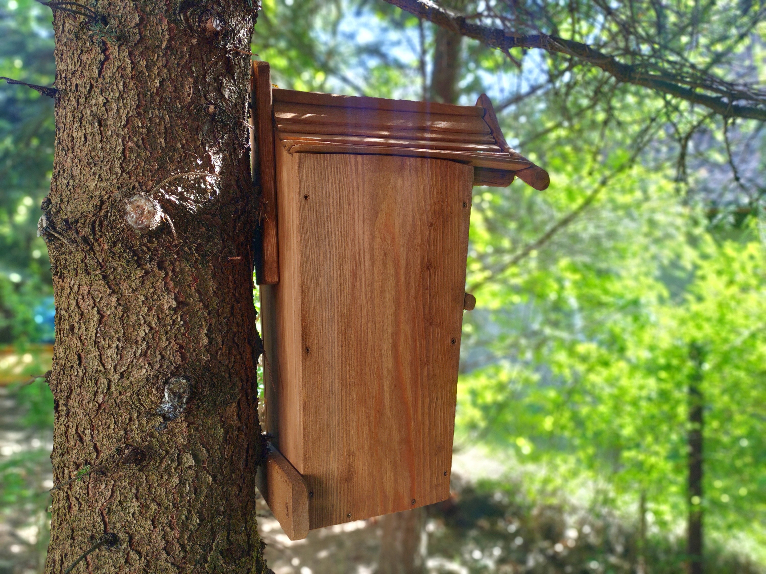 Large OWL Nesting Box | Wooden Nest Box Owls: for Tawny Owl, Screech ...