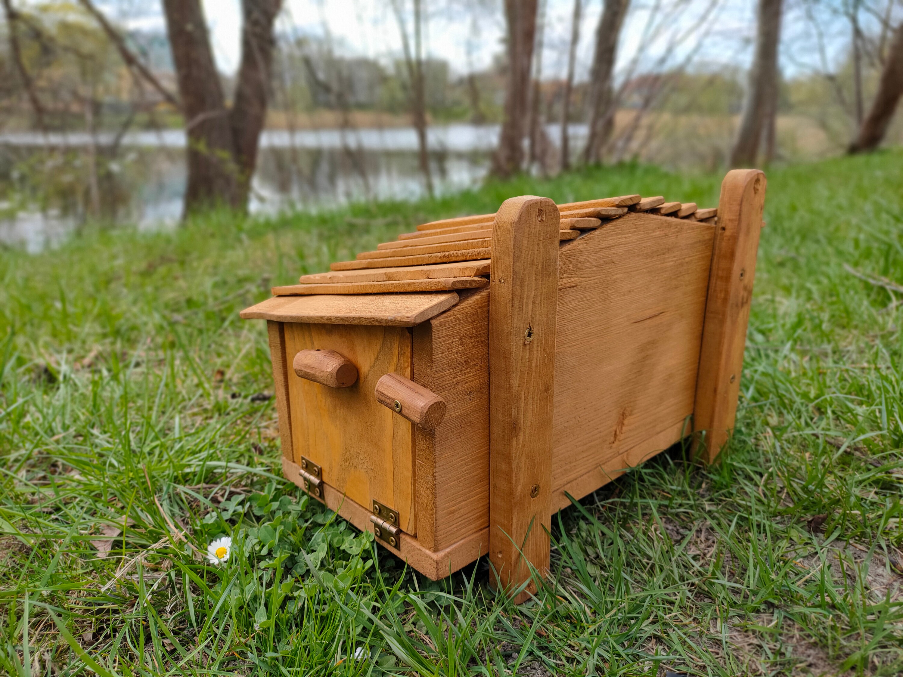 SWIFT BIRDS Nesting Box, Nest-box House for Swift Bird Family Nests ...