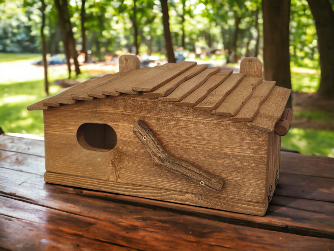 SWIFT BIRDS Nesting Box, Nest-box House for Swift Bird Family Nests ...