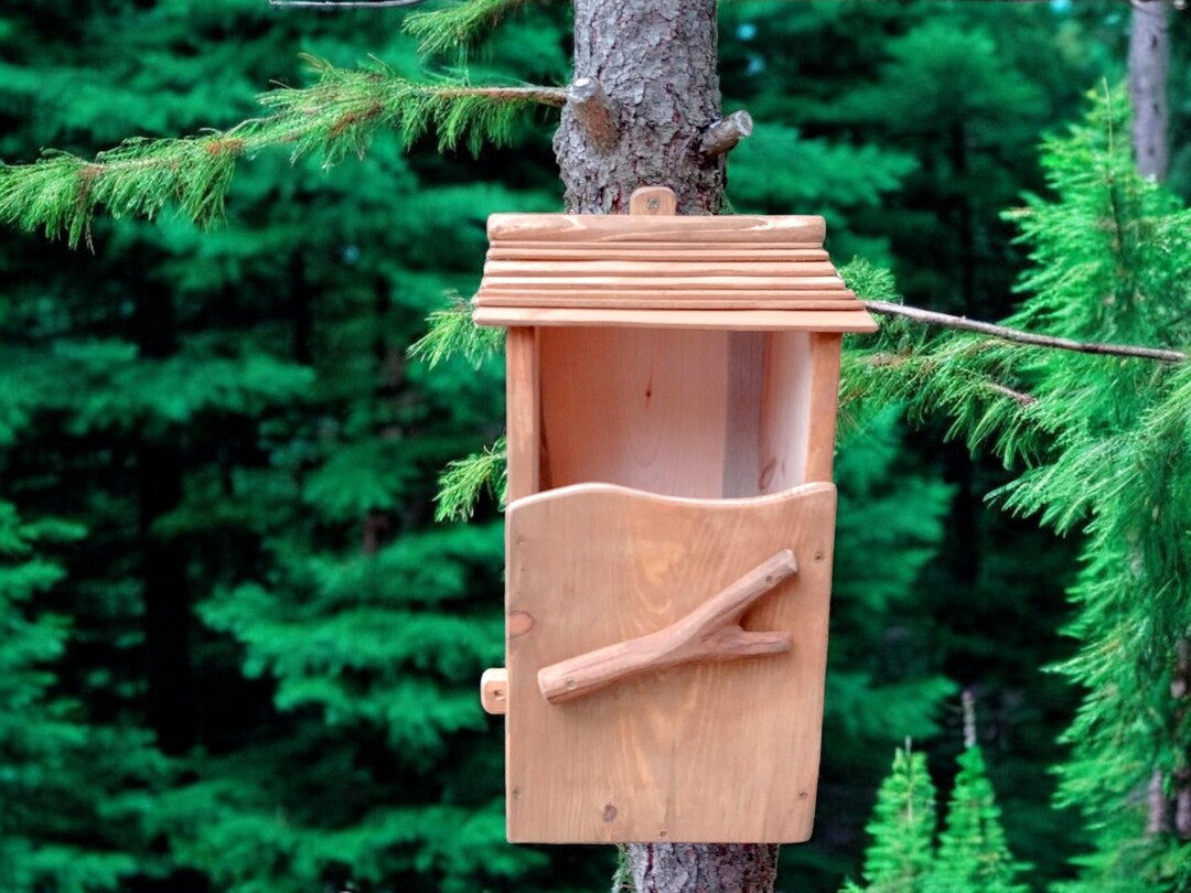 OWL Nest Box | Rustic Wooden Nesting House for Eastern Screech, Tawny ...