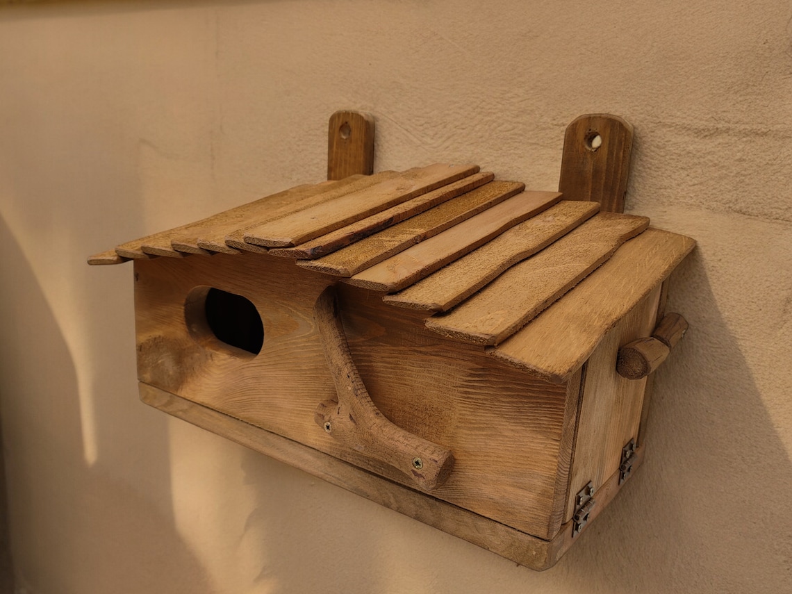 SWIFT BIRDS Nesting Box, Nest-box House for Swift Bird Family Nests ...