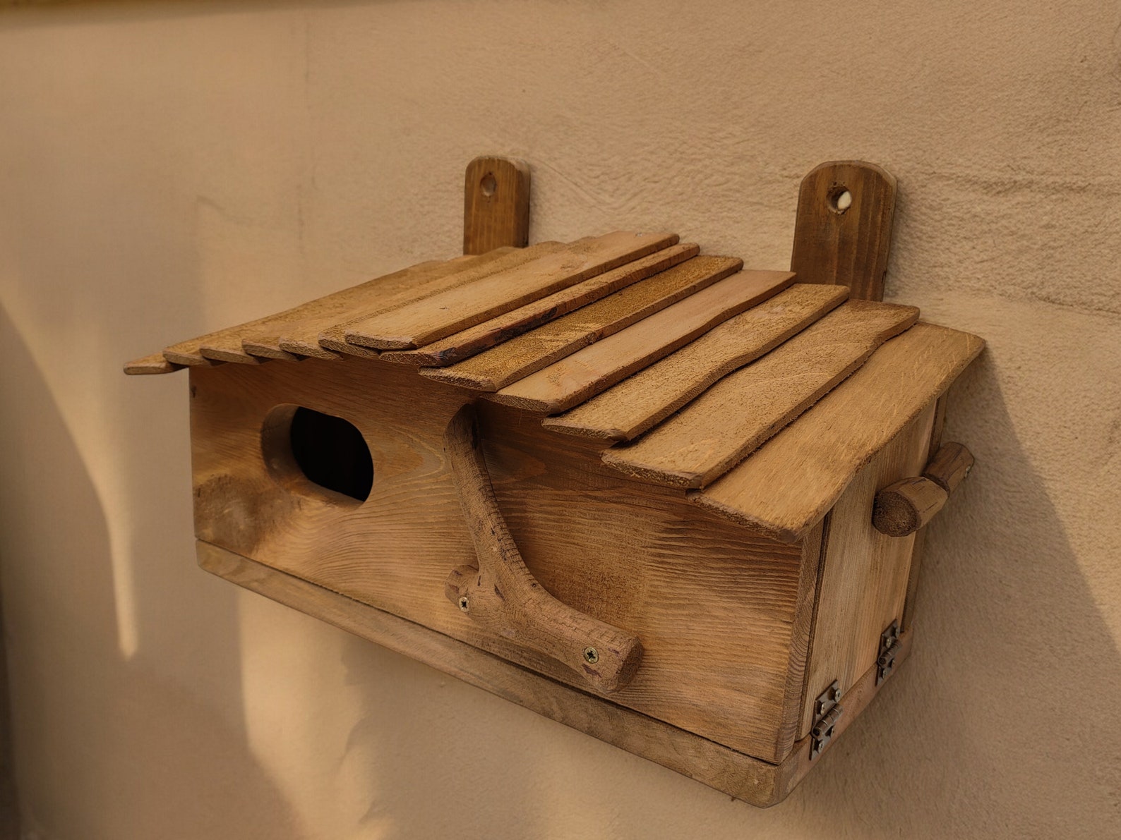 SWIFT BIRDS Nesting Box, Nest-box House for Swift Bird Family Nests ...