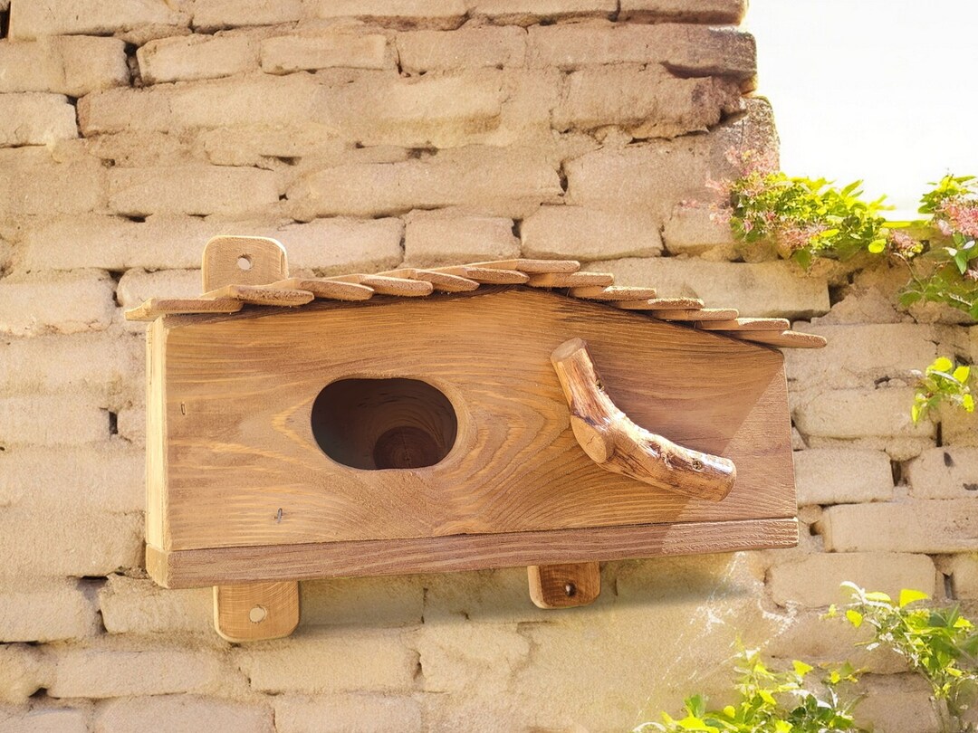 SWIFT BIRDS Nesting Box, Nest-box House for Swift Bird Family Nests ...