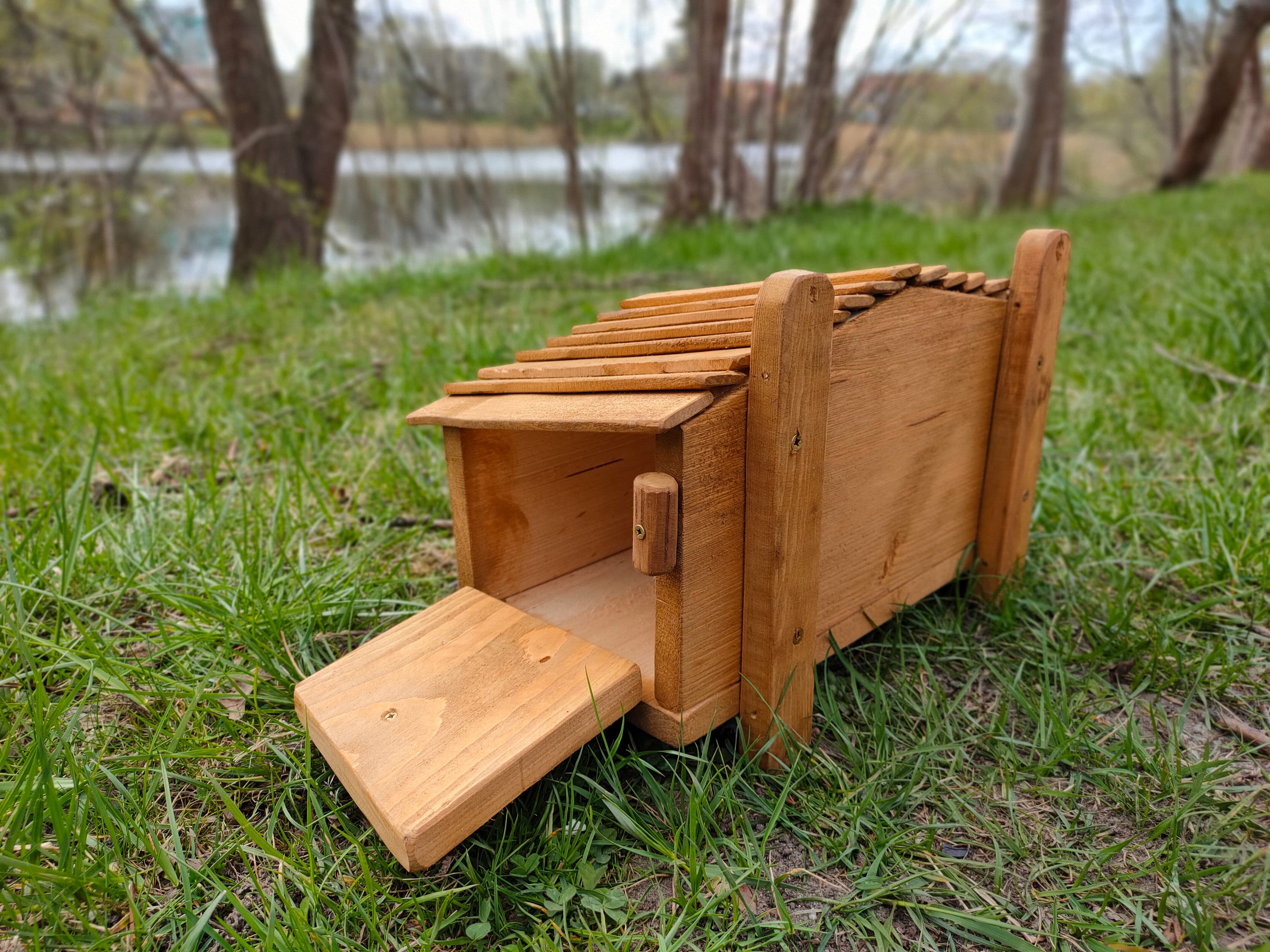 SWIFT BIRDS Nesting Box, Nest-box House for Swift Bird Family Nests ...