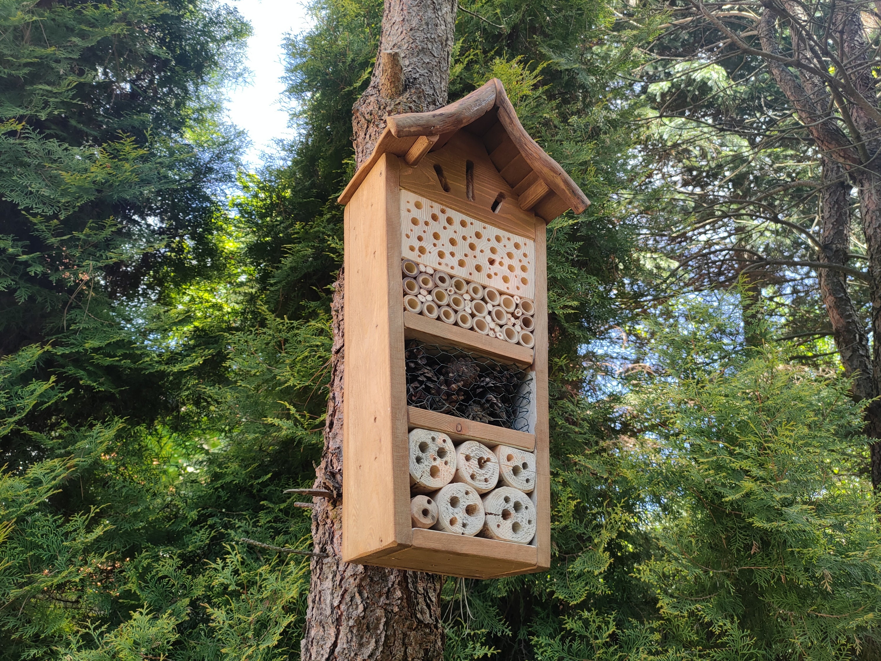 BUG HOUSE Insect Hotel, Butterfly Ladybug House, Mason Bee Large ...