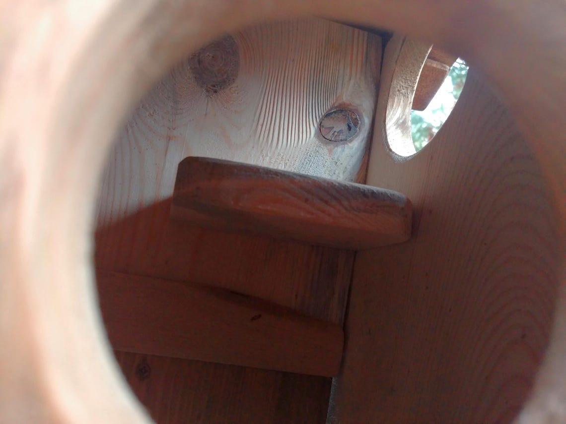 Large Wooden Squirrel House – Outdoor Nesting Box for Gray & Red ...
