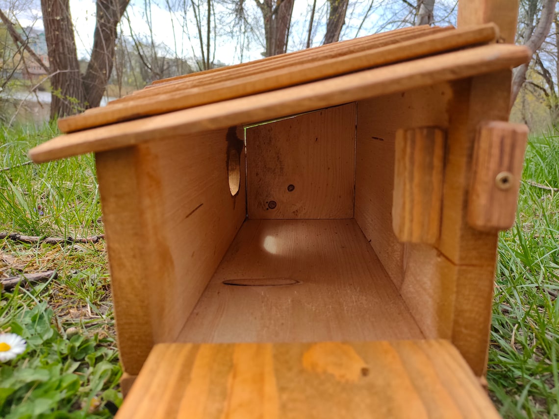 SWIFT BIRDS Nesting Box, Nest-box House for Swift Bird Family Nests ...