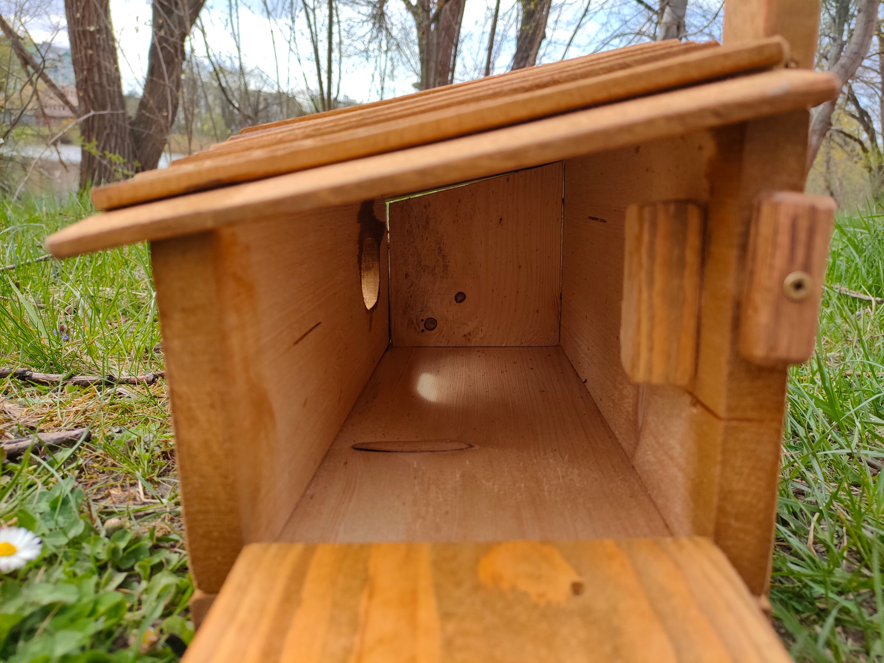SWIFT BIRDS Nesting Box, Nest-box House for Swift Bird Family Nests ...