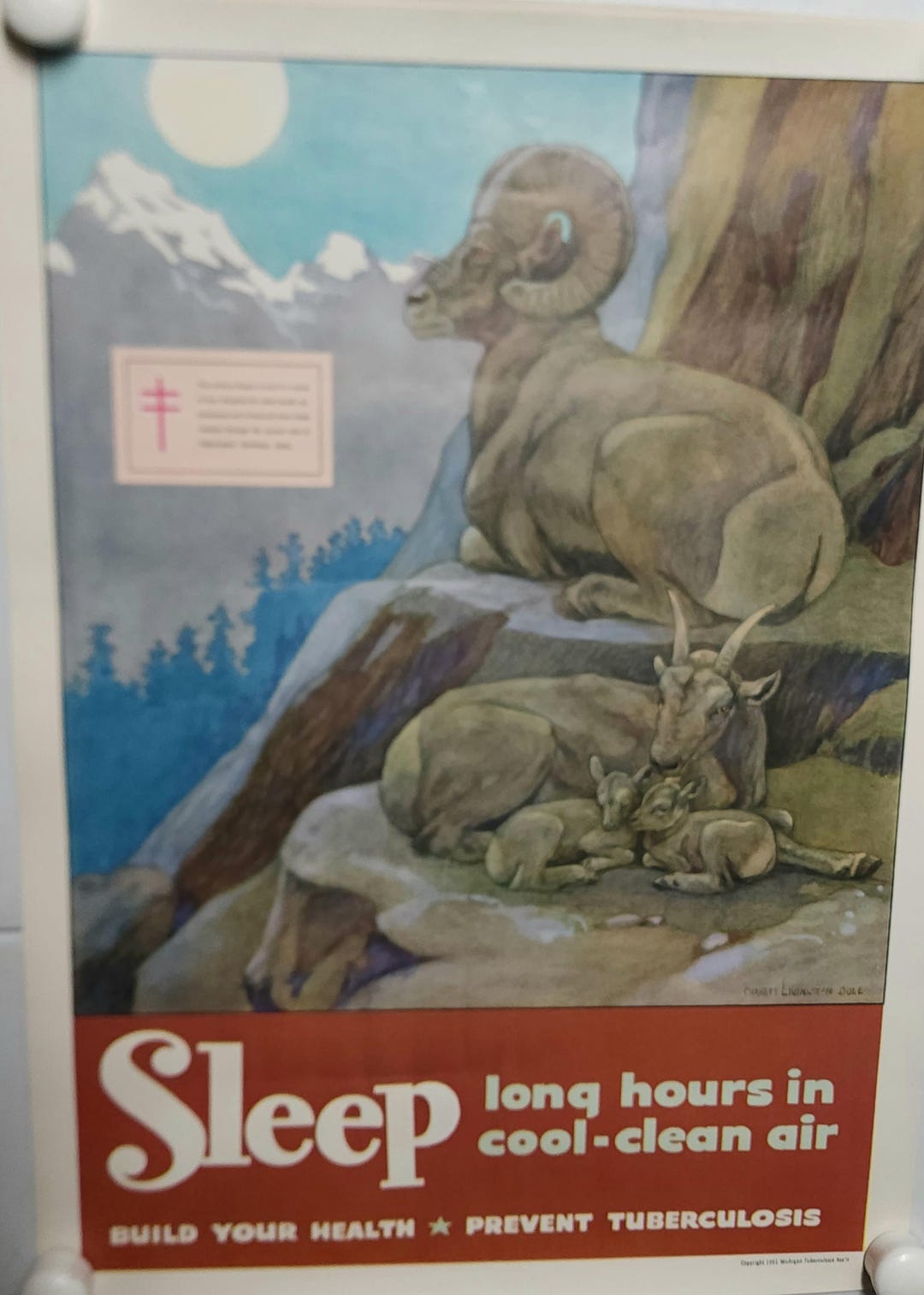 Vintage 1951 TUBERCULOSIS POSTERS- Wildlife Series- Set of 4-original ...