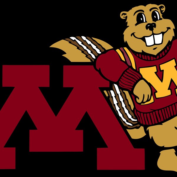 Minnesota Svg - Etsy