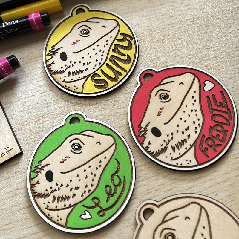 Reptile Enclosure - Etsy