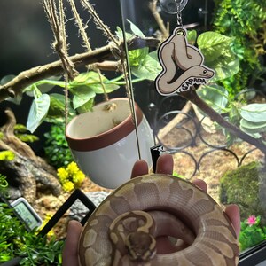 Custom Ball Python Enclosure Name Tag, Snake Name Tag, Enclosure Tag ...