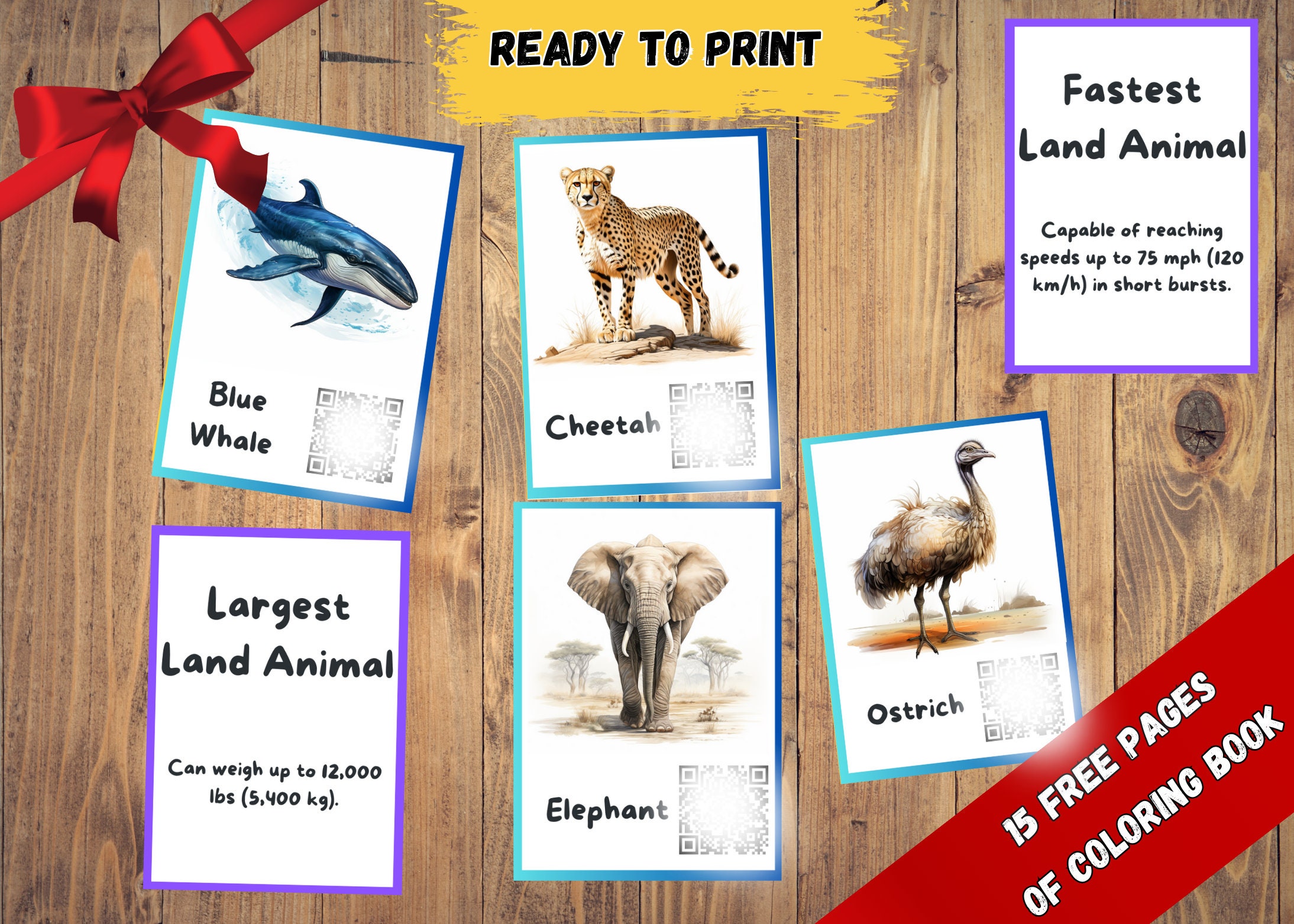 Super Smart Animal Flashcards With QR Codes - Etsy