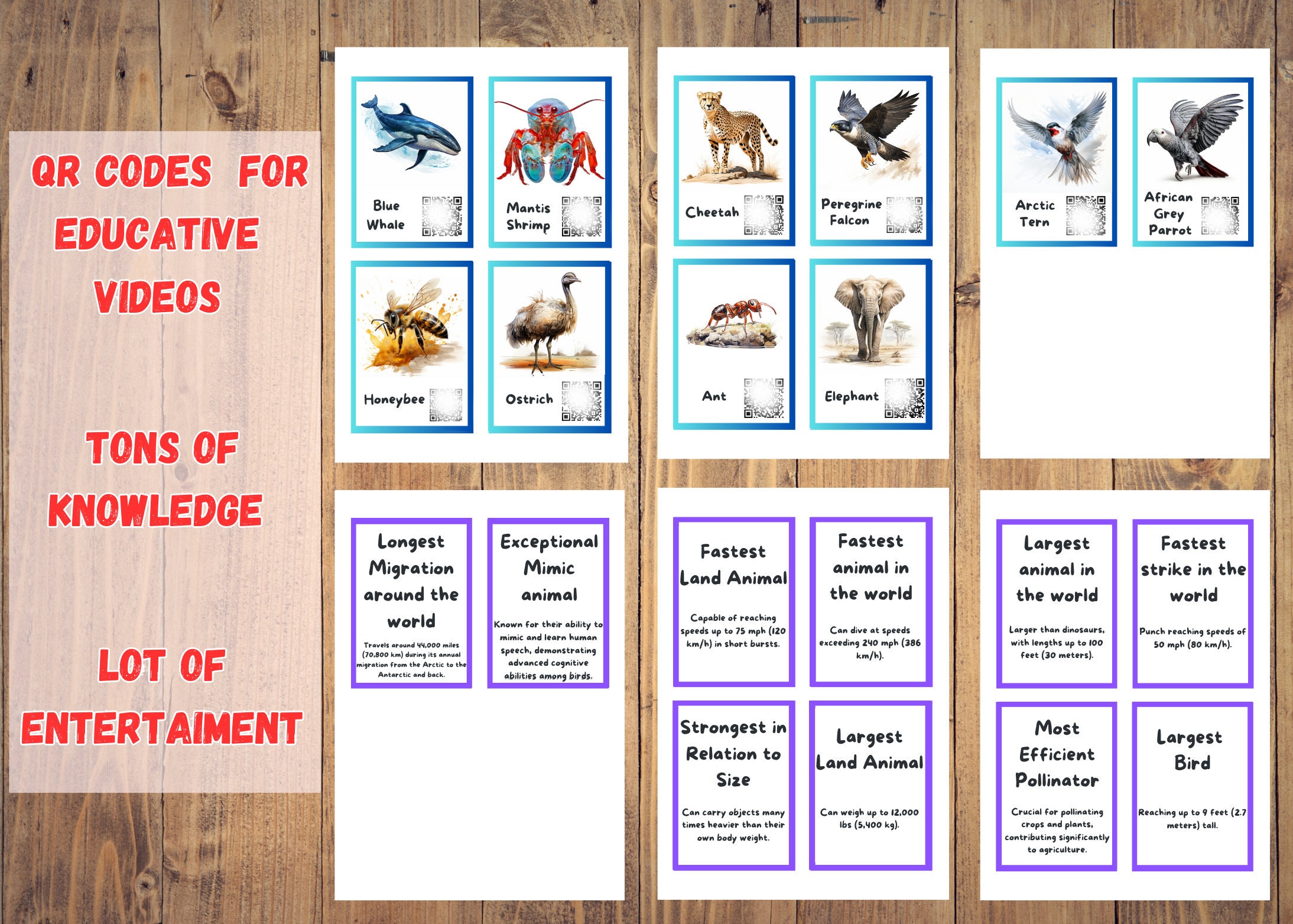 Super Smart Animal Flashcards With QR Codes - Etsy