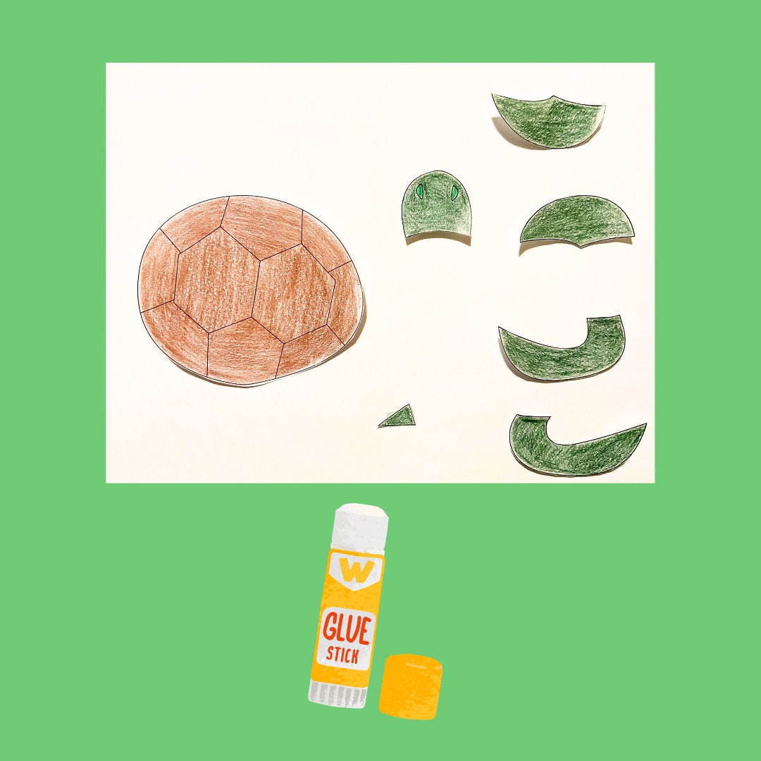 Build A Turtle Craft Printable Activity Kids Spring Craft DIY Craft ...