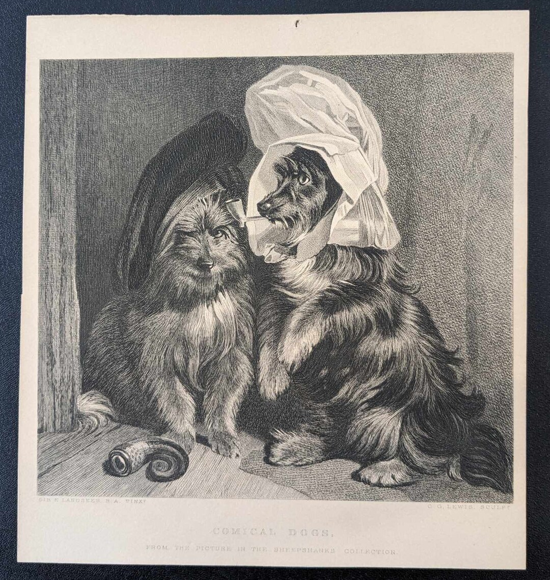 COMICAL DOGS, by Sir E. Landseer R.A. 1802-1873, 9''x8.5'' Rare Old ...