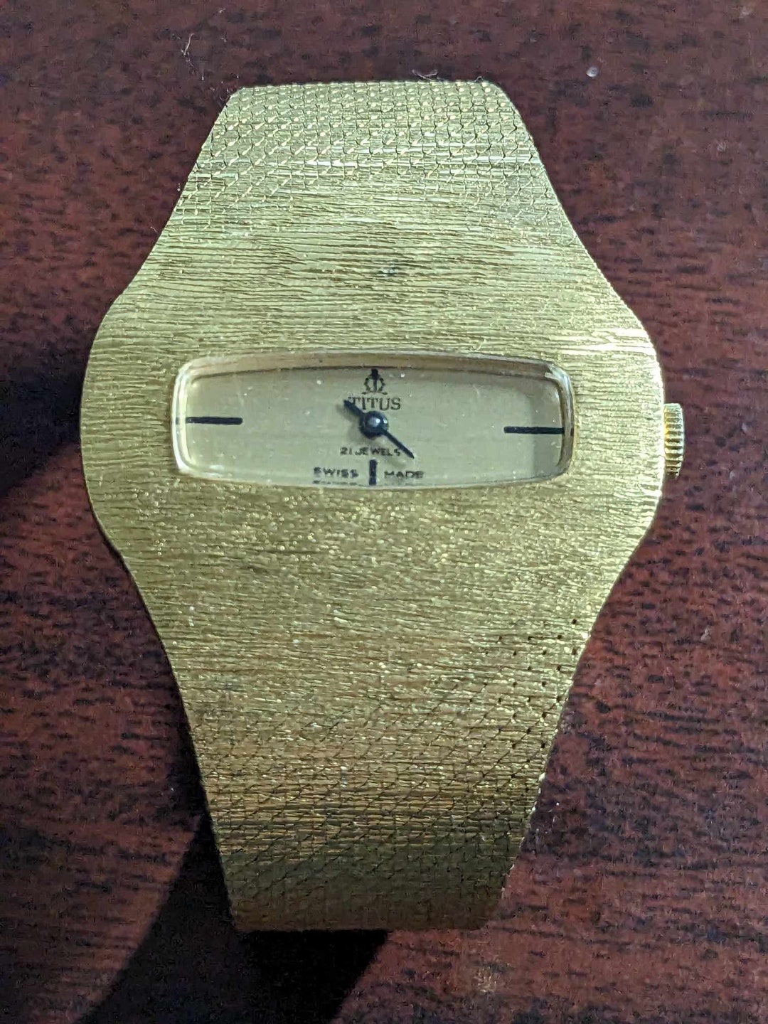 TITUS WATCH for Men, Swiss Mechanical Movement, 21 Stones, 1970s, Works ...