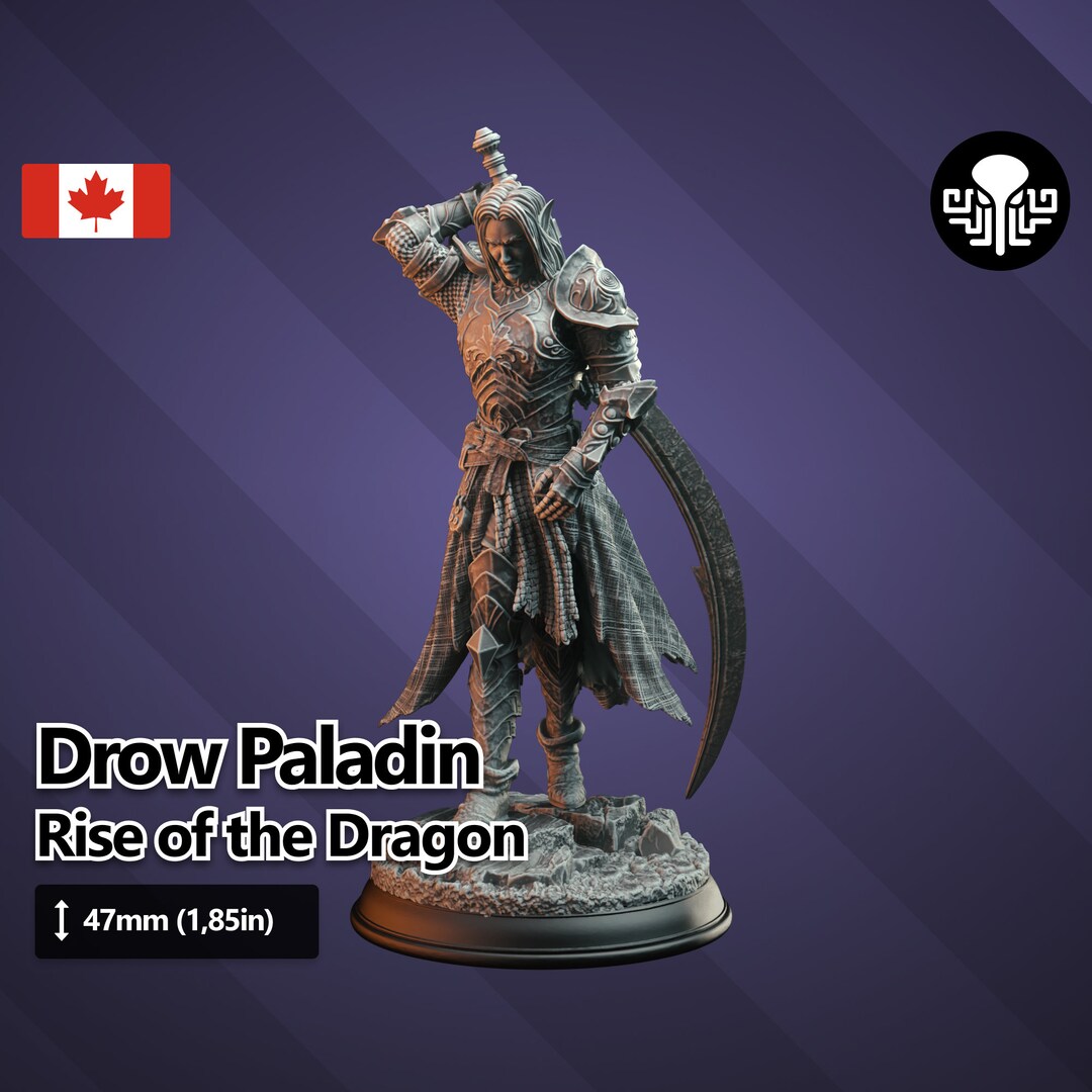 Drow Moon Paladin Collection : Rise of the Dragon 32mm Scale Dnd ...