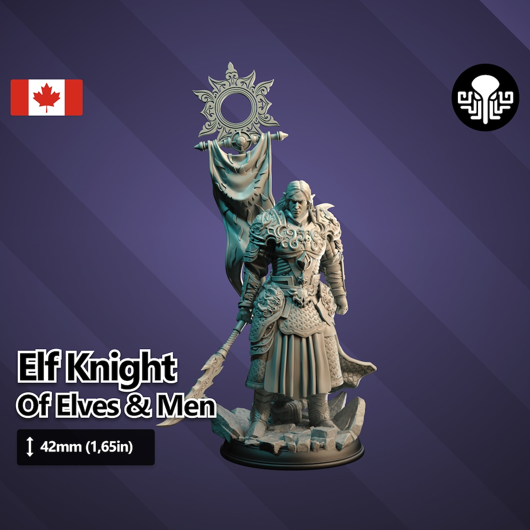High Elf Knight Collection : of Elves & Men 32mm Scale Dnd Unpainted ...