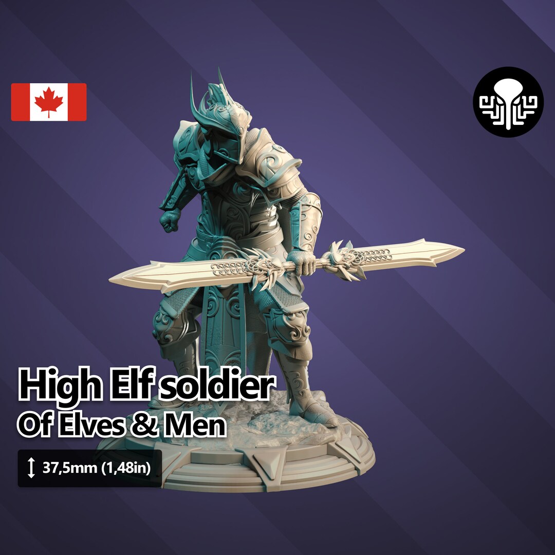 Male High Elf Fighter Collection : of Elves & Men 32mm Scale Dnd ...