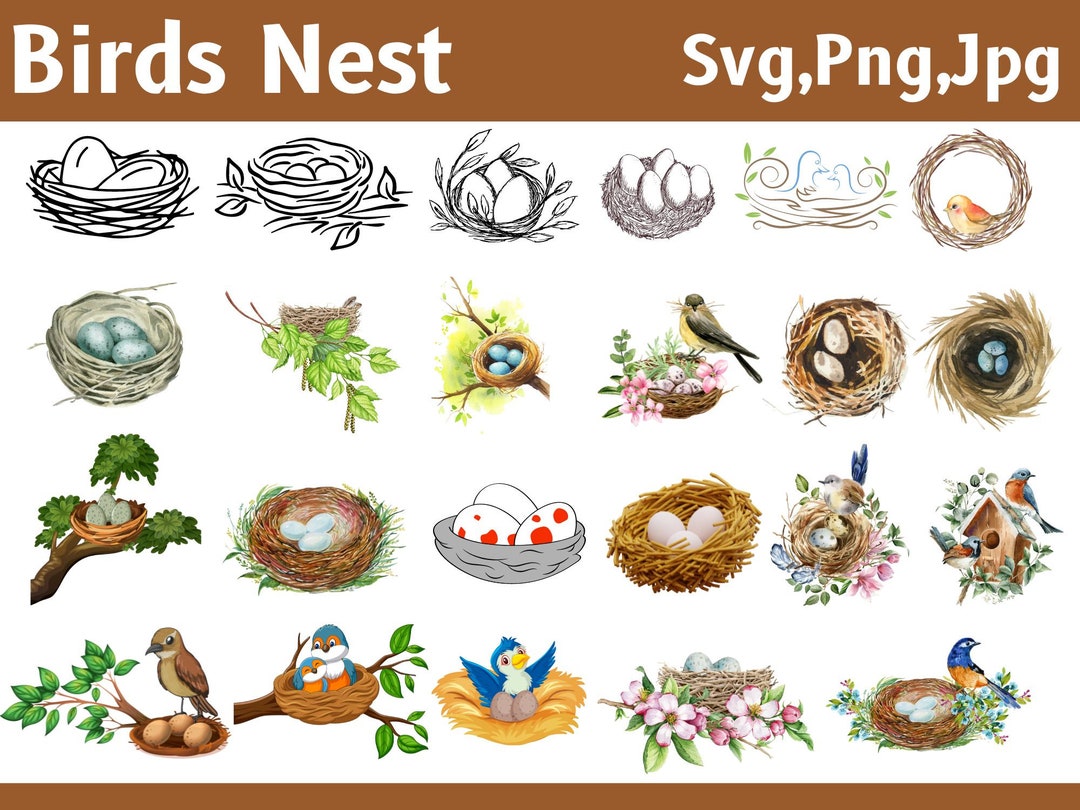 Bird Nest SVG Bundle,instant Digital Download, PNG, SVG Cut Files, Bird ...