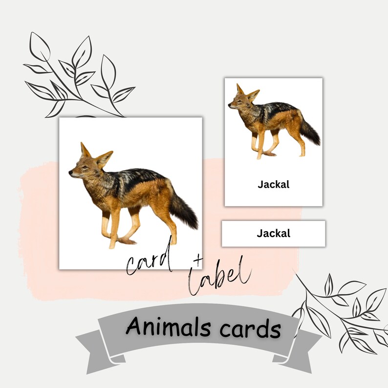 100 Animal Flash Cards Printable Montessori Cards Pre-school Cards Farm ...