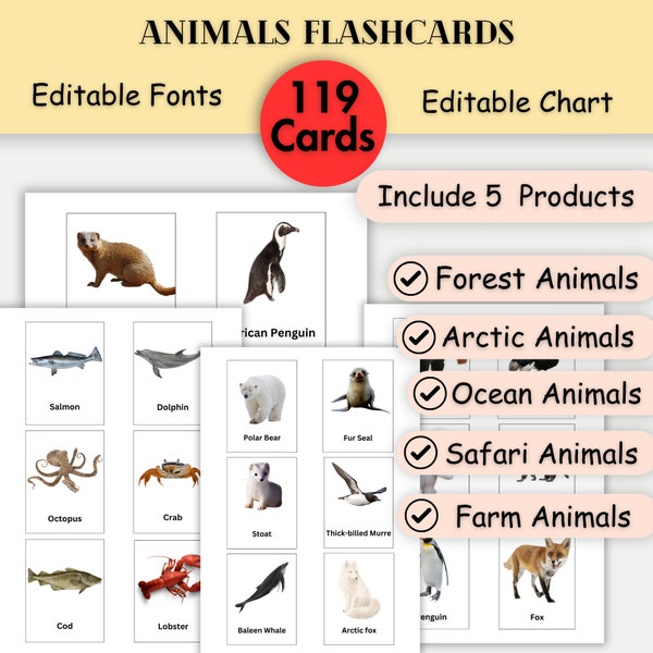 Animal Flash Cards - Etsy