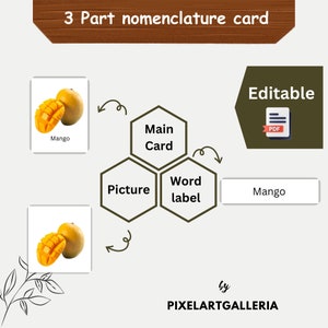 30 Fruits Flashcards Flashcards for Kids Montessori Cards Educational ...