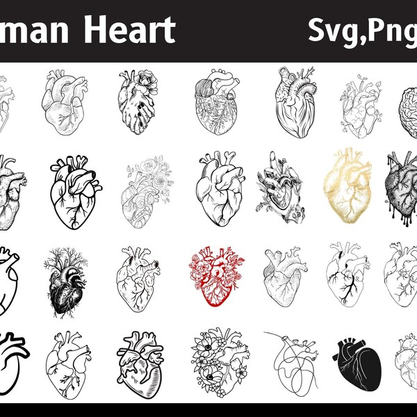 Human Heart - Etsy
