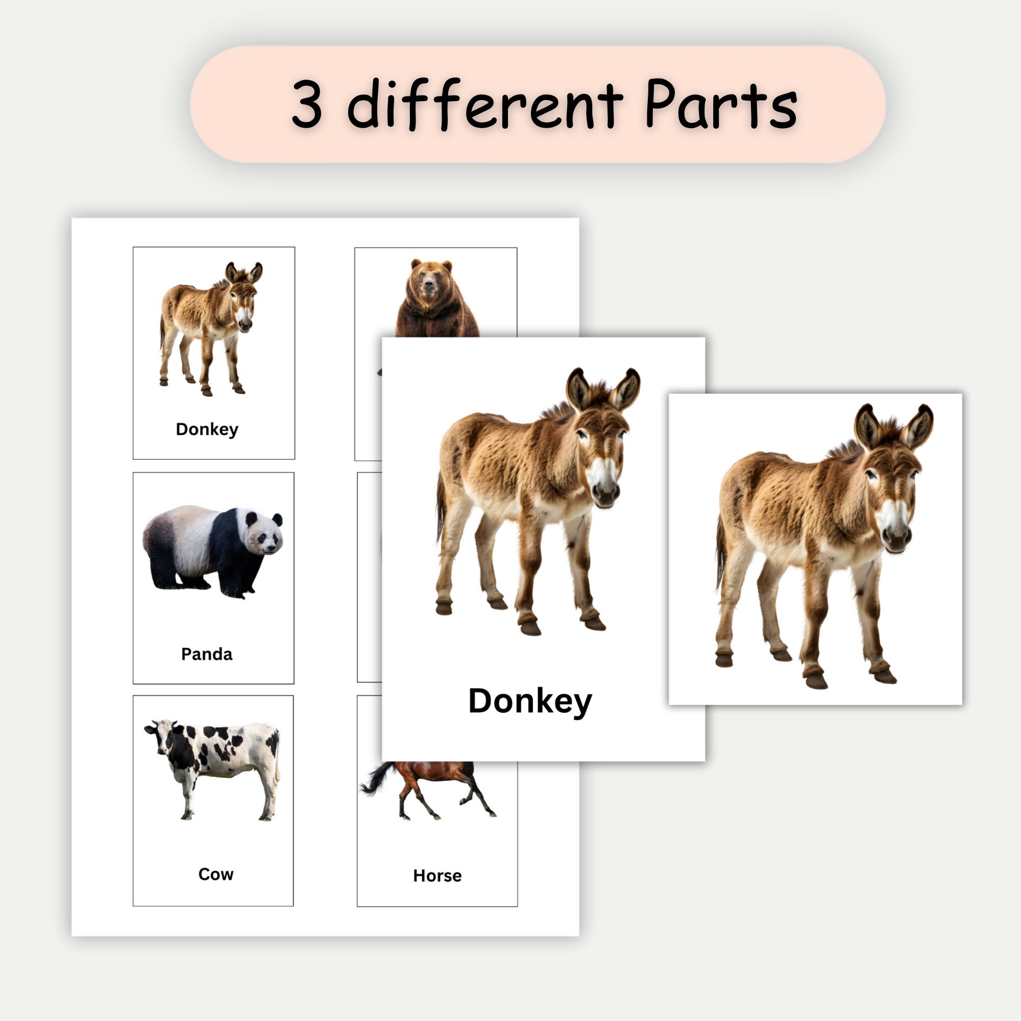 100 Animal Flash Cards Printable Montessori Cards Pre-school Cards Farm ...