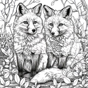 100 Pages Fox Coloring Book PDF Digital Download for Kids and Adults ...