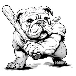 Baseball Team Mascots Digital Coloring Book, Fun Mascot Designs, 100 ...