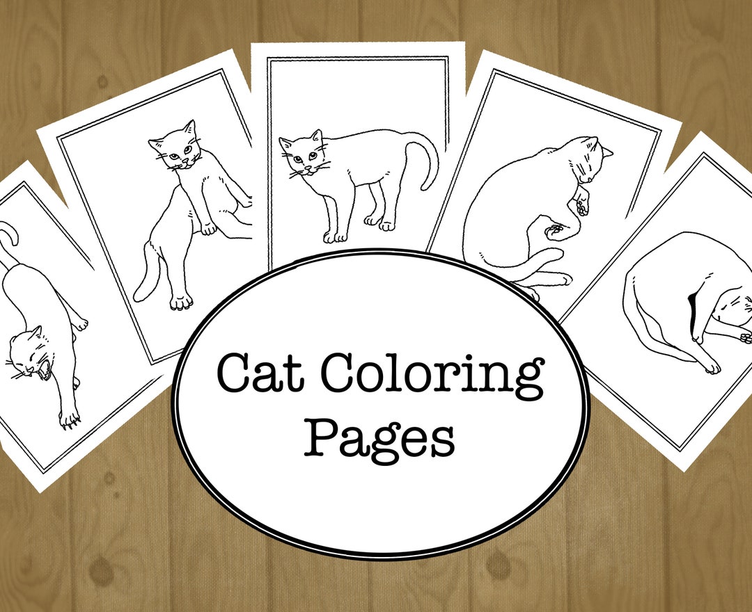 Cat Coloring Book Sheets 5 Printable Pages Coloring Pages for Kids and ...
