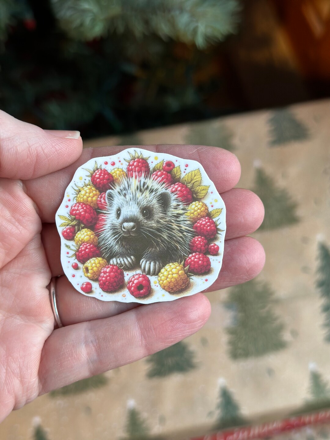 Salmonberry Porcupine Sticker - Etsy