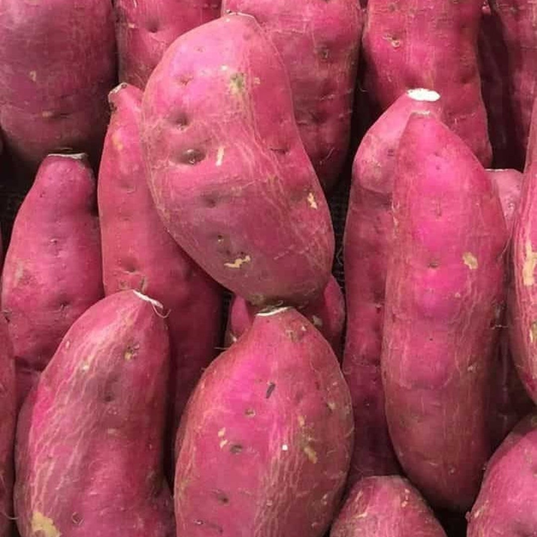 Sweet Potatoes: USDA Certified for Planting (1000 Grams) - Premium ...