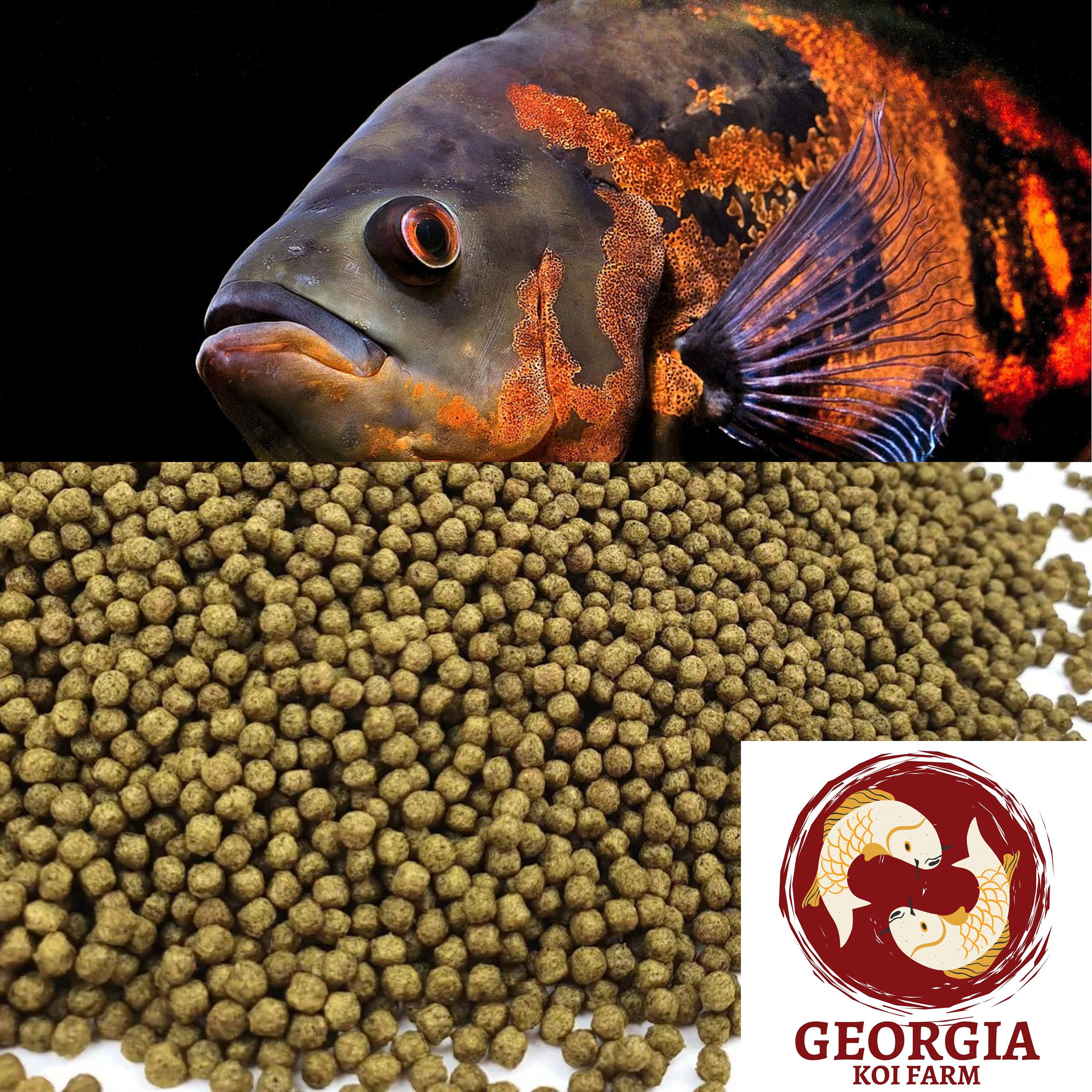Oscar Foods Georgia KOI Farm s Premium Medium Floating Slow Sinking Super Mix Fish Food Gourmet Blend Handmade and Sealed for Freshness Etsy