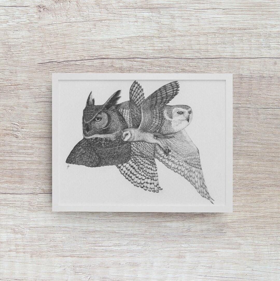Owl Art Print | Digital Download, Owl Drawing, Ink Illustration, Bird ...