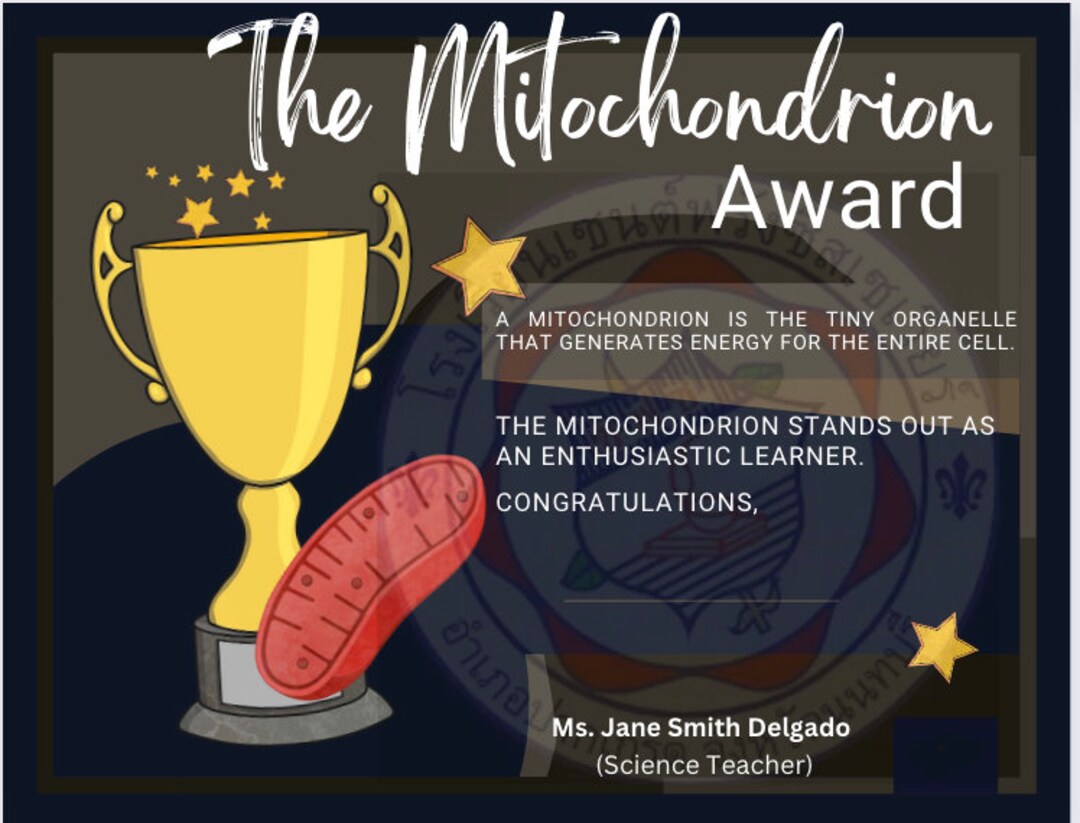 Digital End of the Year Science Awards for Students, STEM Certificate ...