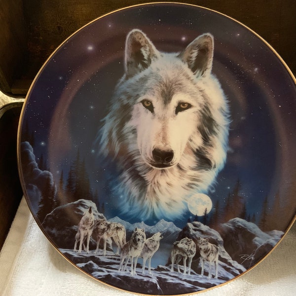 Native American Collector Plates - Etsy