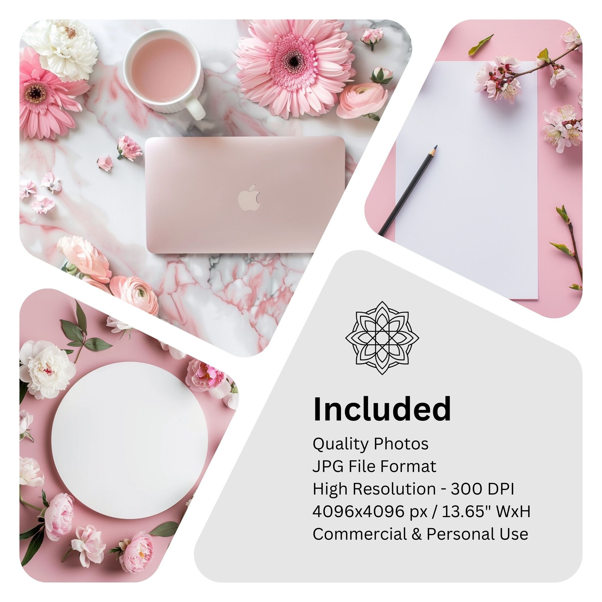 Pink Office, Office Backdrop, Laptop, Slab, Flatlay Images, Stock ...