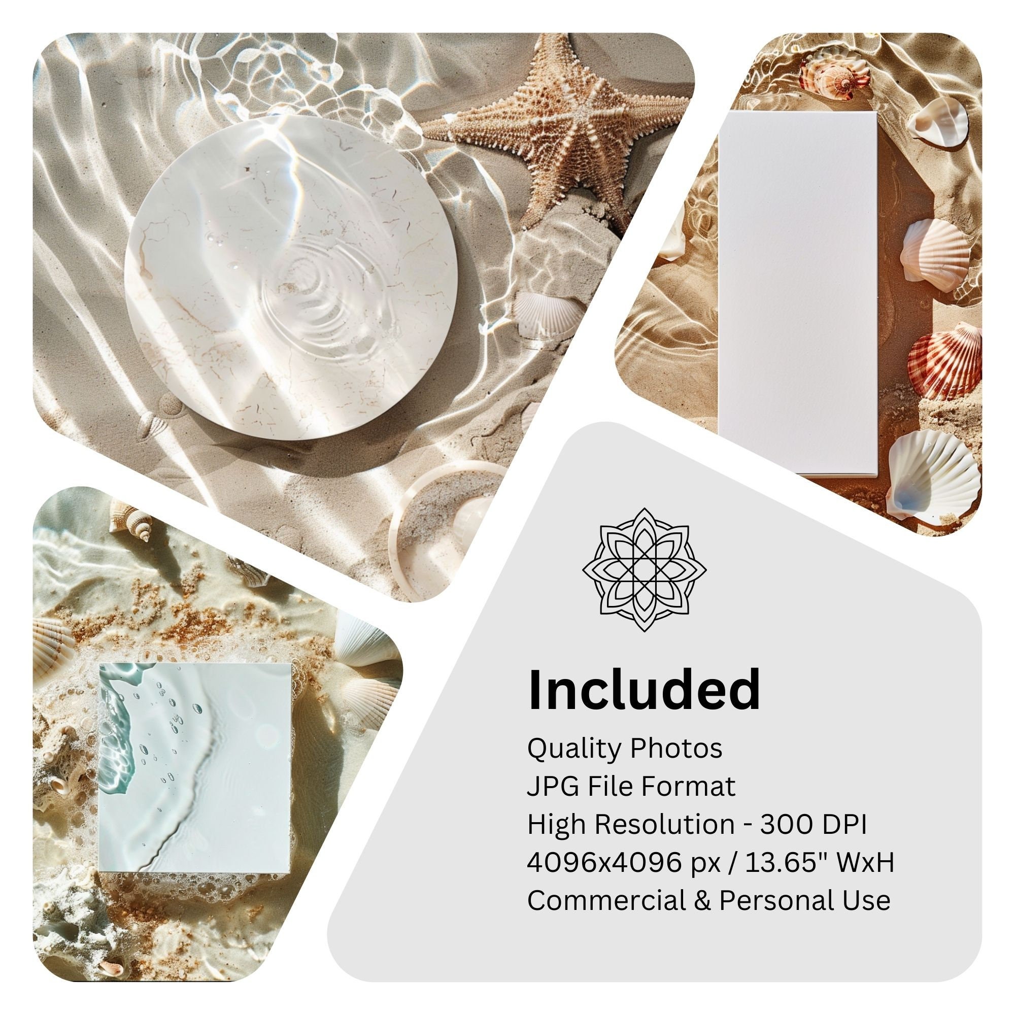 Seashell Mockup, Slabs, Beach, Product Mockup, Flatlay Images, Stock ...